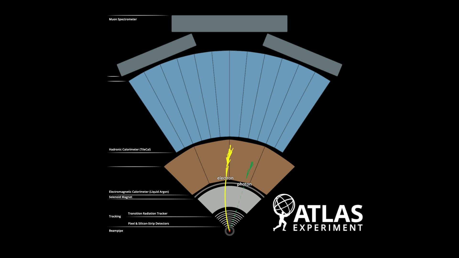How ATLAS detects particles: visualisation of particle paths in the ...